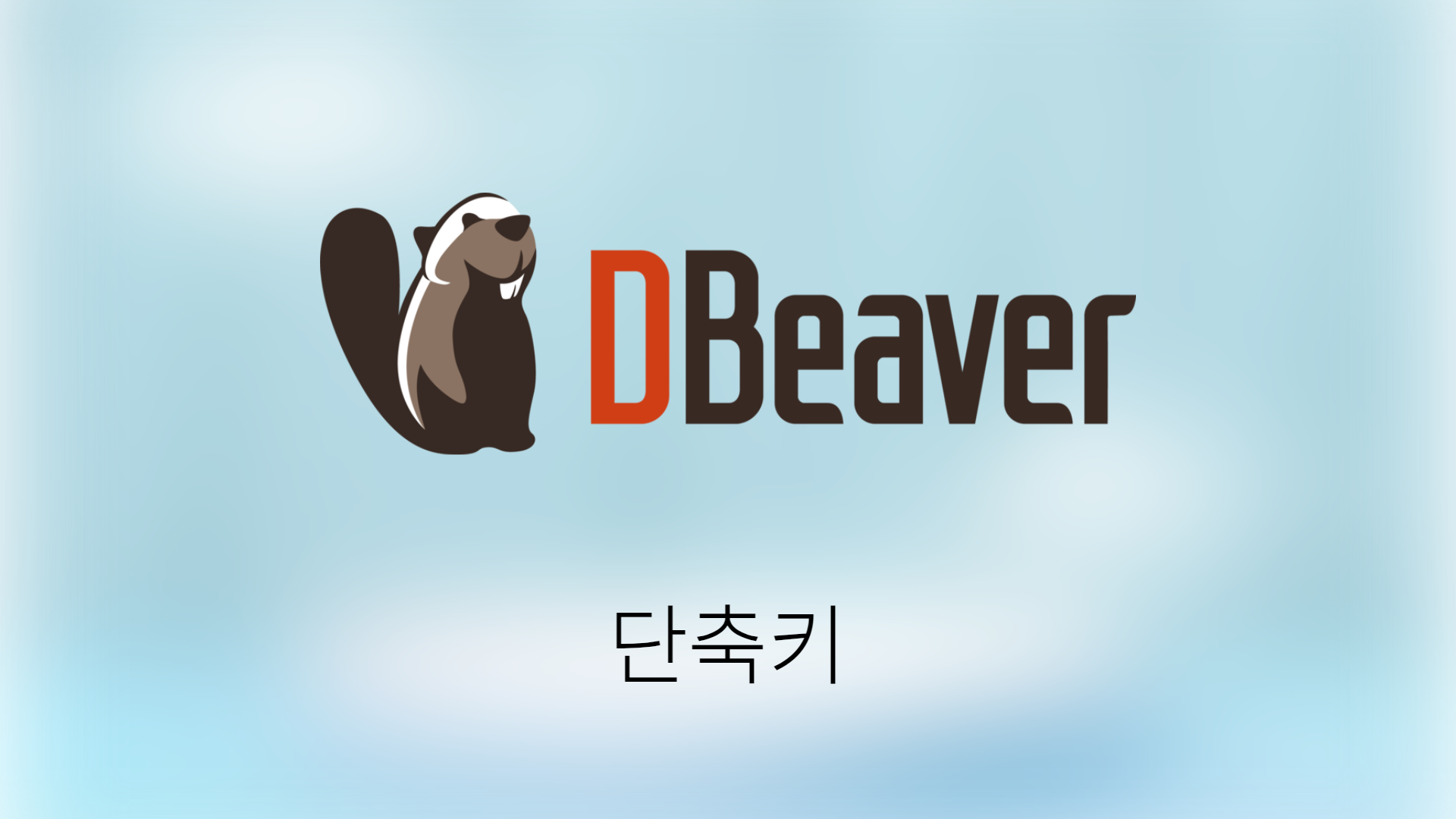 [DBeaver] 단축키 | DongMin Shin